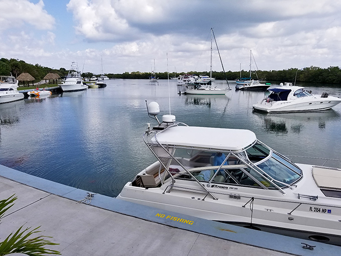 Boats bob peacefully in the protected marina, a perfect launching point for aquatic adventures in Biscayne Bay.
