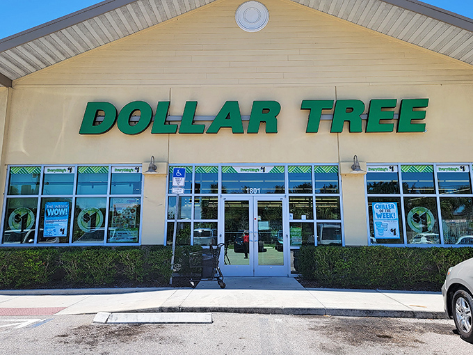 Even Dollar Tree gets the Florida treatment, palm trees and sunshine transforming everyday errands into mini-vacations.