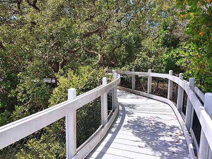 The path stretches ahead through green tunnels and open sky, each turn promising new discoveries in this coastal wonderland.
