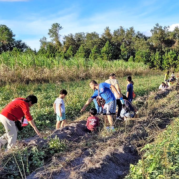Little hands learning big lessons: families discover that harvesting your own food brings satisfaction no grocery store can match.