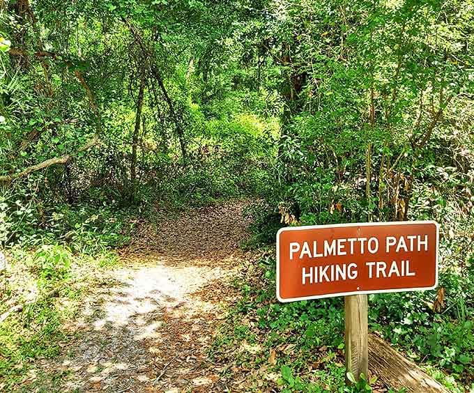 The Palmetto Path: where "taking a hike" transforms from an insult into an invitation to discover Florida's wild heart.