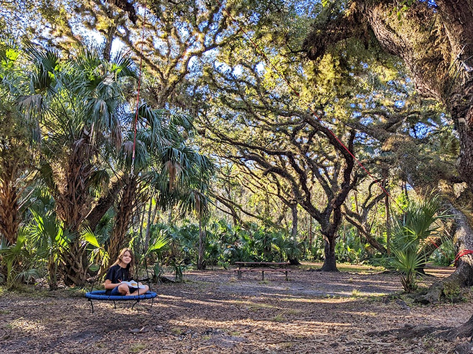Camping nirvana: Where screen time is replaced by starlight and the only notifications come from curious wildlife.