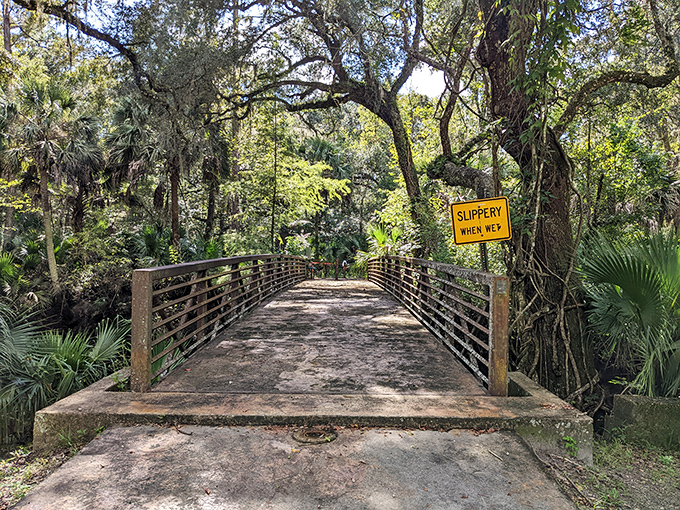 "Slippery When Wet" &ndash; both a practical warning and a metaphor for the fleeting nature of luxury at this once-grand resort.