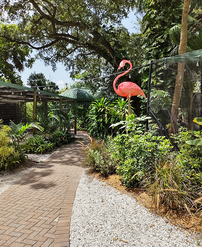 Winding pathways invite exploration through lush tropical foliage, with whimsical flamingo art guiding the way to new discoveries.