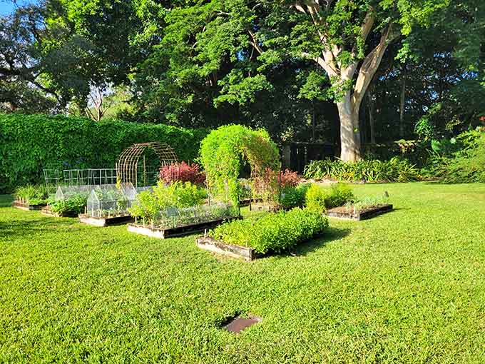 Manicured lawns meet wild tropical plantings in a landscape design that somehow makes chaos and order best friends forever.
