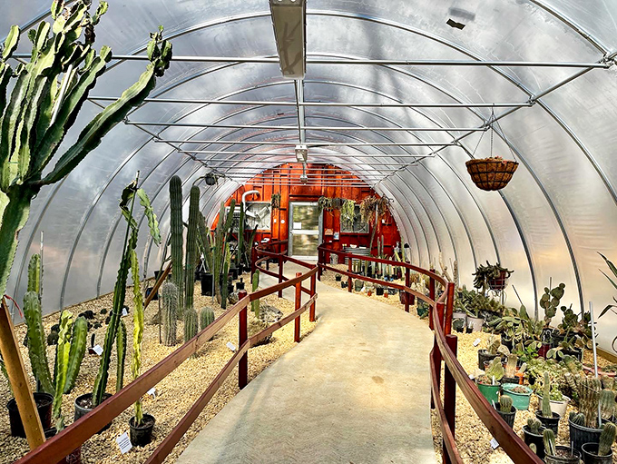 Step into the Glen Brown Memorial Greenhouse and enter a botanical spaceship that's traveled the world collecting green treasures.