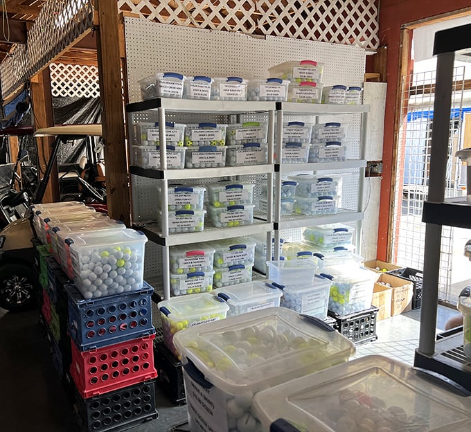 Golf balls organized with military precision &ndash; a testament to the specialized vendors who make The Red Barn unique.