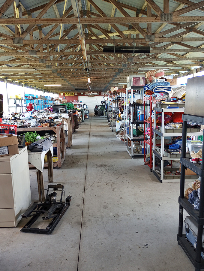Sunlight filters through the market's wooden beams, illuminating pathways to unexpected discoveries around every corner.