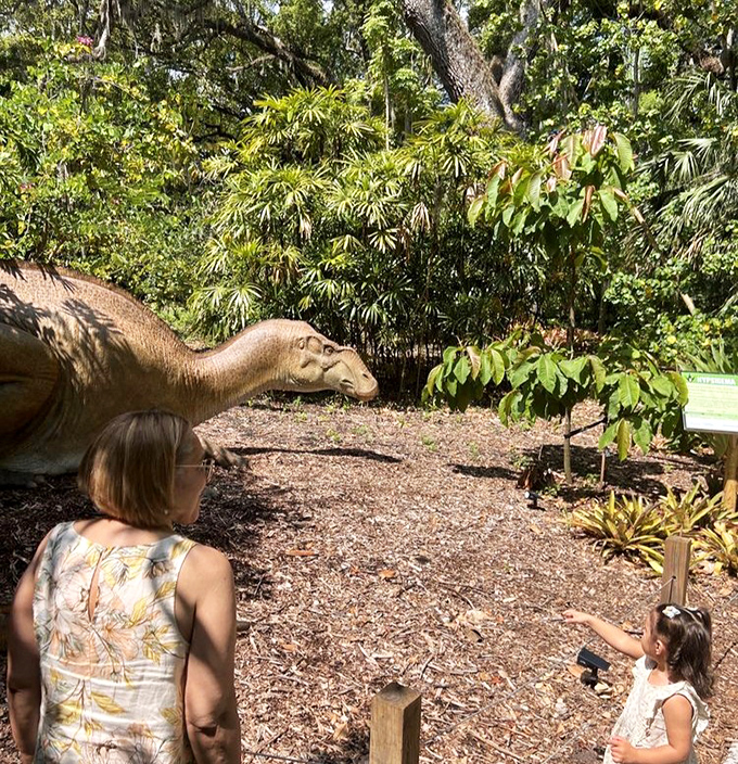 This Hypsibema appears to be guarding her nest, a touching maternal moment frozen in time among the ferns.