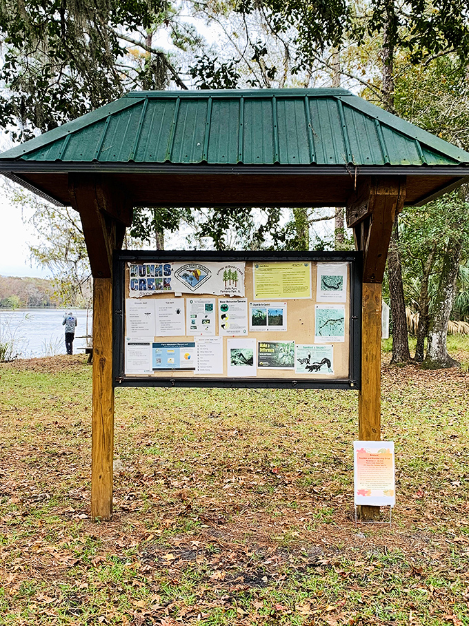 The information board tells you what you might see, but nothing beats the thrill of discovering it yourself.The information board tells you what you might see, but nothing beats the thrill of discovering it yourself.
