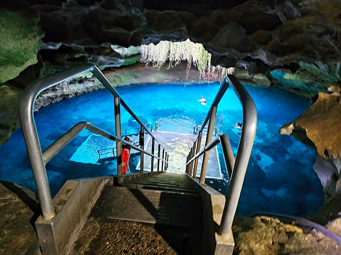 Hanging plant tendrils create natural chandeliers above swimmers, nature's decorative touch in this limestone ballroom.