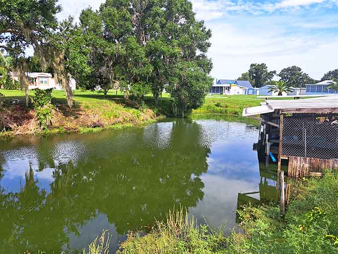 This tranquil pond proves that Lake Marian has layers, offering quiet corners for those who prefer their nature with a side of solitude and reflection.
