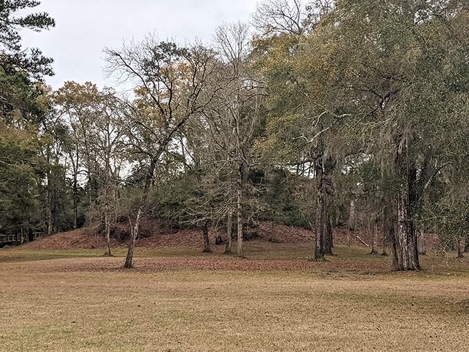 Late autumn season: Fall's gentle touch transforms the ancient mound into a contemplative space where past and present dance among fallen leaves.