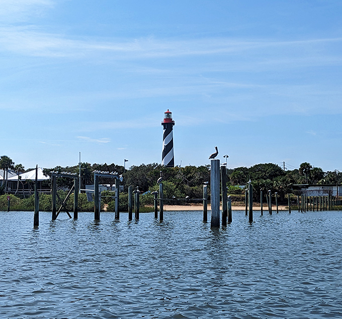 Lighthouse from Afar: Even from a distance, the St. Augustine Lighthouse commands attention, a striped exclamation point on Florida's historic coastline.