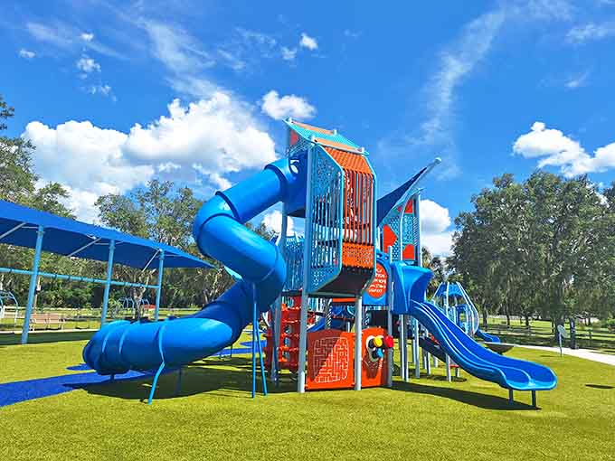 That playground equipment is so colorful and fun it makes you wish you were young enough to use it without people asking questions.