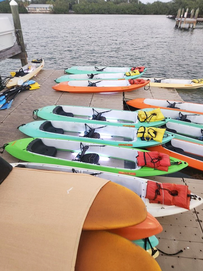 Loading area: A rainbow of kayaks waits patiently at the shore's edge, each one promising a different perspective on Key West's underwater nightlife.