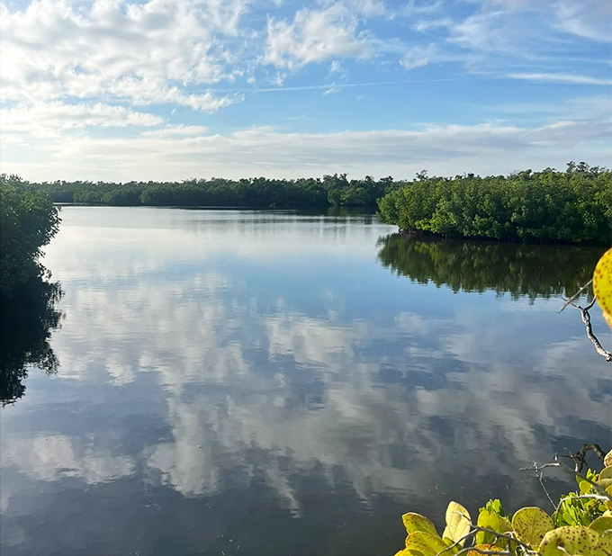 Mirror-like waters reflect mangrove sentinels standing guard over this peaceful lagoon &ndash; Florida showing off its natural air conditioning system.