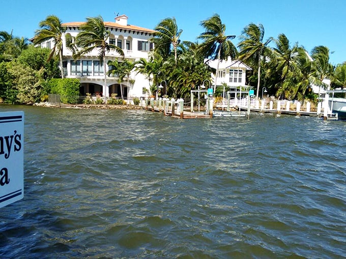 McCarthy's Marina bustles with boats and possibility, a jumping-off point for adventures that might include dolphin sightings or hidden cove discoveries.