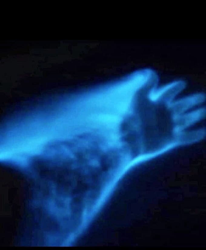 Every movement creates cascades of blue light, like holding handfuls of stars in the water itself.