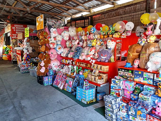 A wonderland of stuffed animals and playthings that would make any child's eyes grow wider than their parents' shrinking wallets.