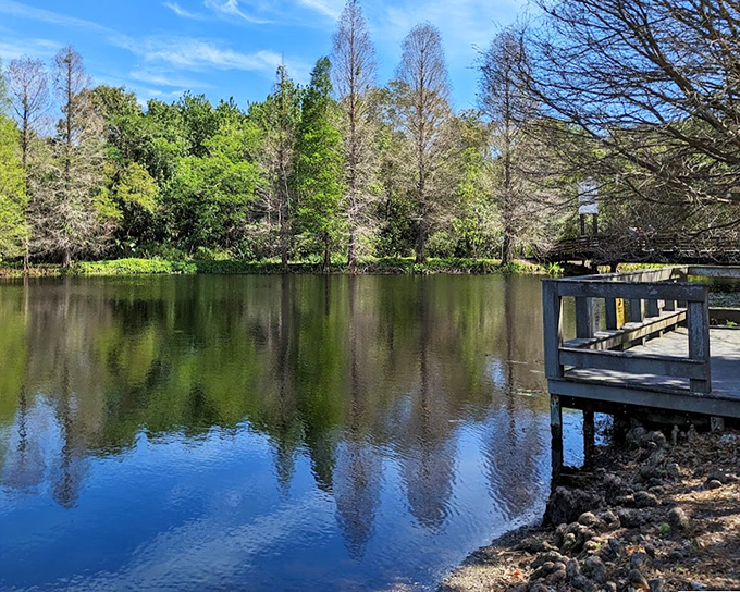 Cypress trees stand sentinel around the lake, their reflections creating perfect symmetry on the water's glass-like surface.
