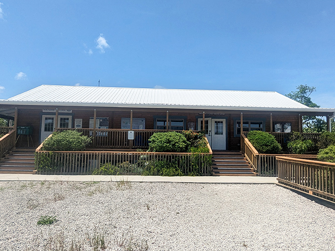 The National Key Deer Refuge Nature Center offers a cool respite and fascinating insights into the Keys' delicate ecosystem.