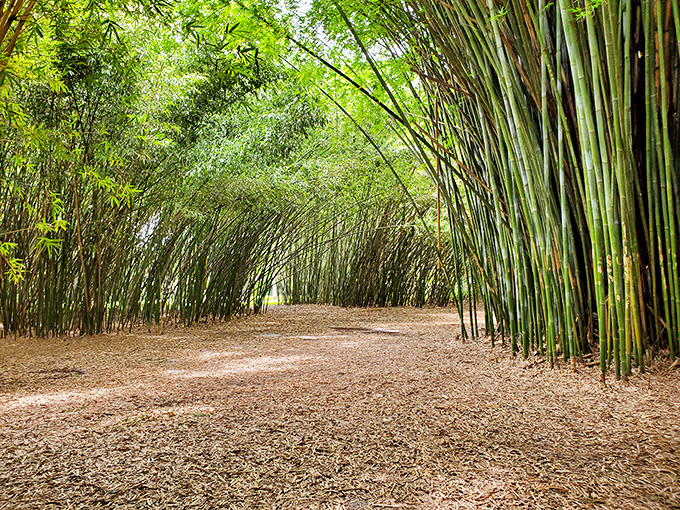 Winding paths invite exploration rather than efficiency, because the journey matters more than reaching any particular destination quickly.