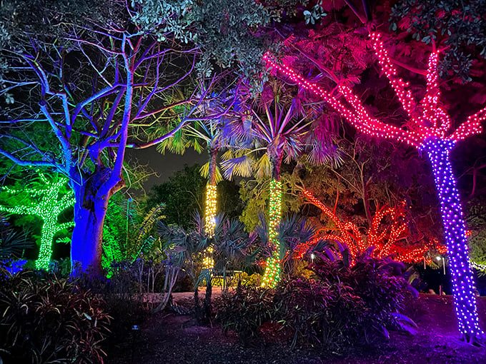 Nighttime illumination turns familiar pathways into colorful corridors that feel like walking through a rainbow's fever dream.