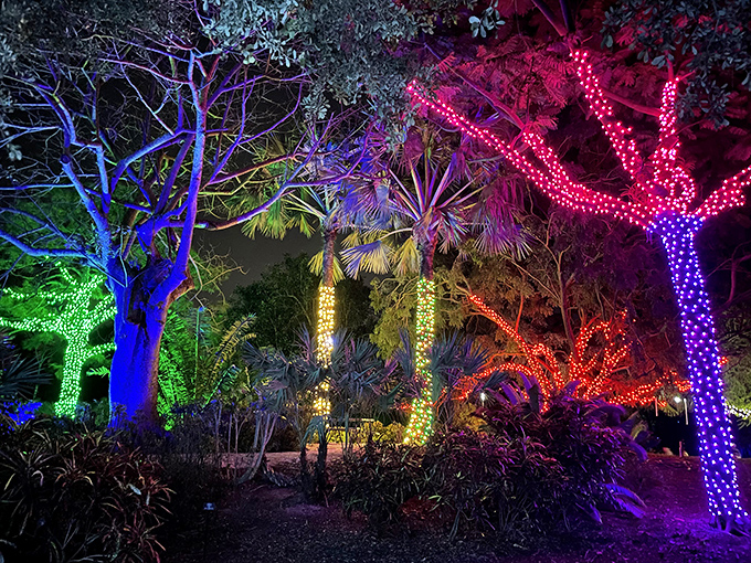 When night falls, the garden transforms into an electric dreamscape where trees don neon outfits and stars pale in comparison.