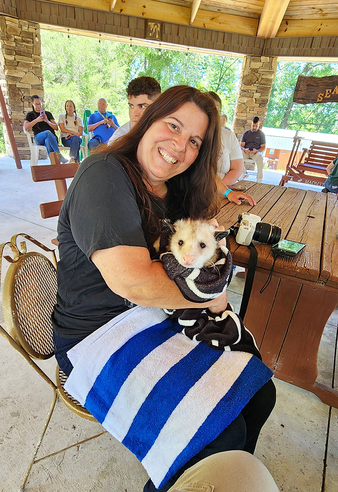 An opossum nestles comfortably in a visitor's arms, challenging preconceptions about these misunderstood marsupials with its gentle demeanor.