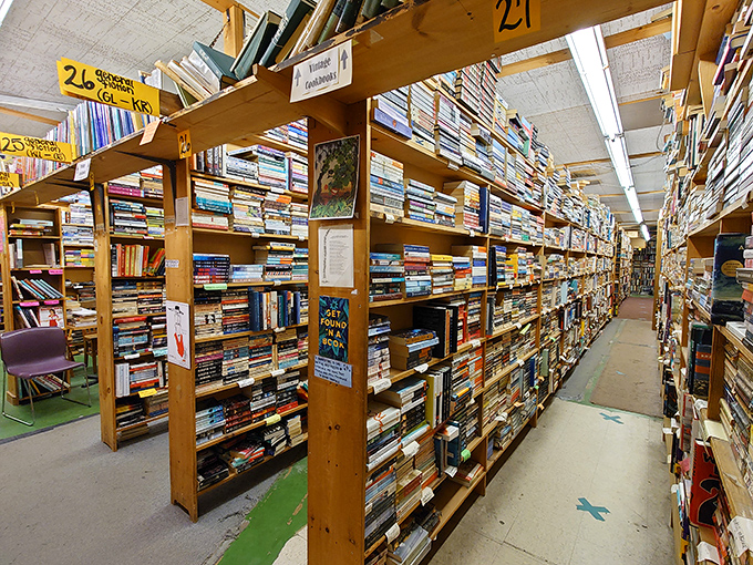 Literary canyons carved through mountains of knowledge, with numbered aisles guiding explorers through this book-lover's paradise.