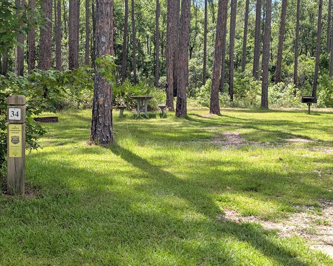 Campsite 34 offers a perfect blend of sun-dappled shade and grassy comfort, just waiting for your tent and ghost stories.