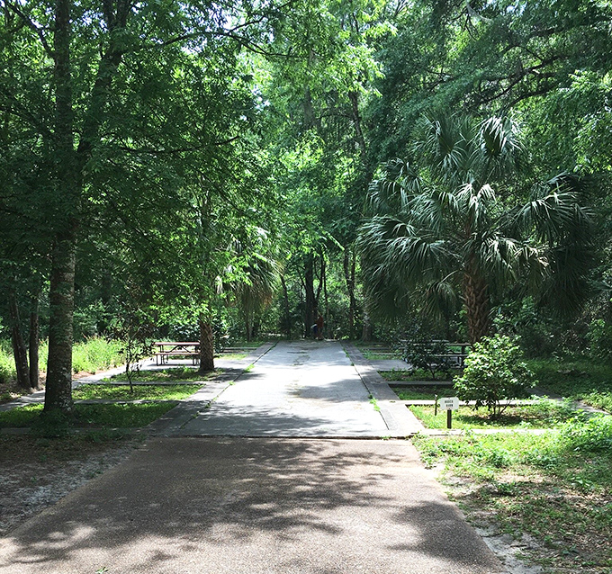 Shaded picnic areas invite visitors to enjoy meals surrounded by natural beauty, because sometimes the best dining atmosphere doesn't involve walls, menus, or anyone asking if you want to hear the specials.