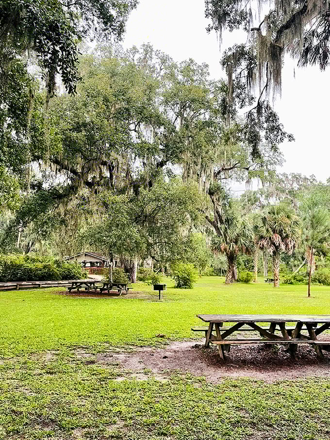 Picnic perfection under Spanish moss chandeliers! These oak-shaded tables have hosted more memorable family meals than most restaurants.