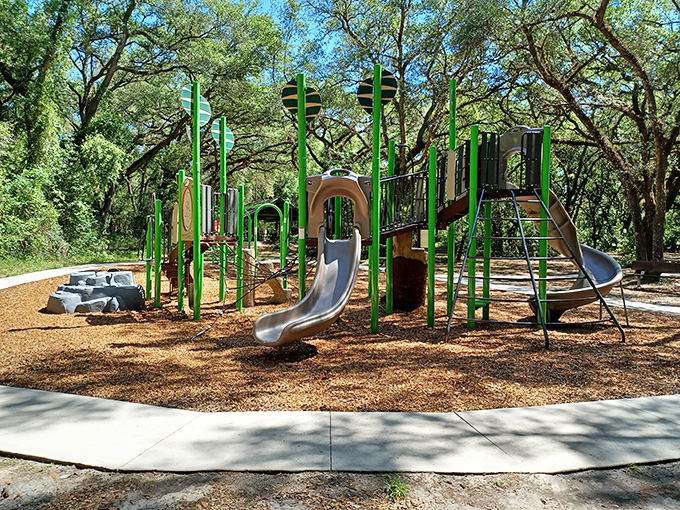 Little adventurers can swing, slide and climb in this thoughtfully designed playground, where childhood joy meets natural surroundings in perfect harmony.