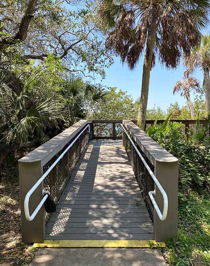 Elevated walkways provide access to areas where the wild things are, proving good design and nature can coexist beautifully.