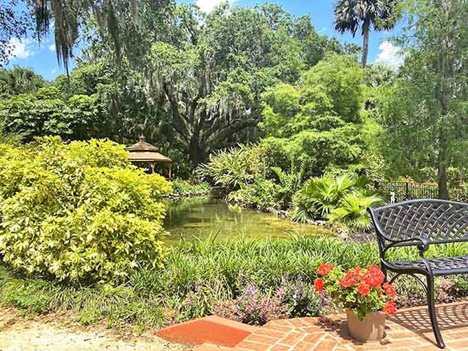 Water gardens shimmer beneath Spanish moss, creating reflections that double the beauty in this peaceful corner of the park.