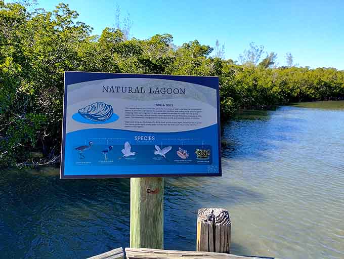 Educational signs help visitors understand the ecosystem without requiring a biology degree or a particularly long attention span to appreciate.