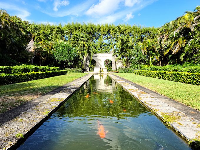 Koi fish glide through reflective waters like living jewels, their orange flashes bringing ancient stones to life in this garden of quiet wonder.