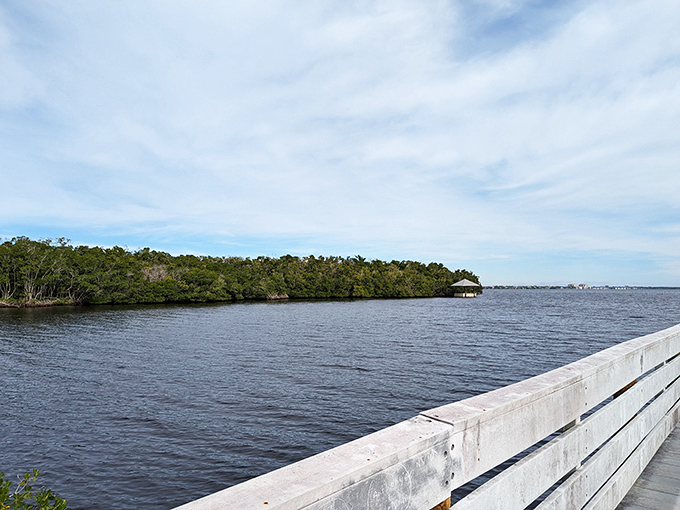 Where mangrove forest meets open water, creating a protected nursery for countless marine species and perfect kayaking opportunities.