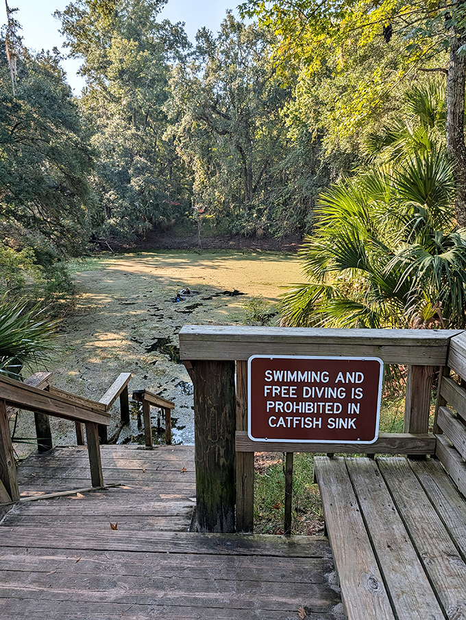 Catfish Sink living up to its name&mdash;a mysterious pool where swimming is prohibited but imagination runs wild.