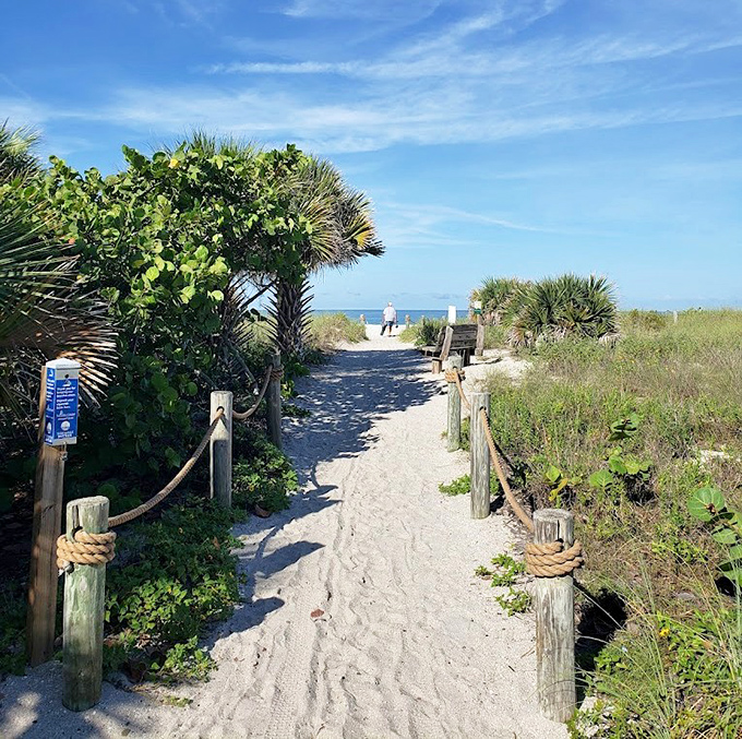 The pathway to paradise – a sandy trail flanked by sea grapes and palmettos invites visitors to discover Blind Pass Beach's hidden treasures.