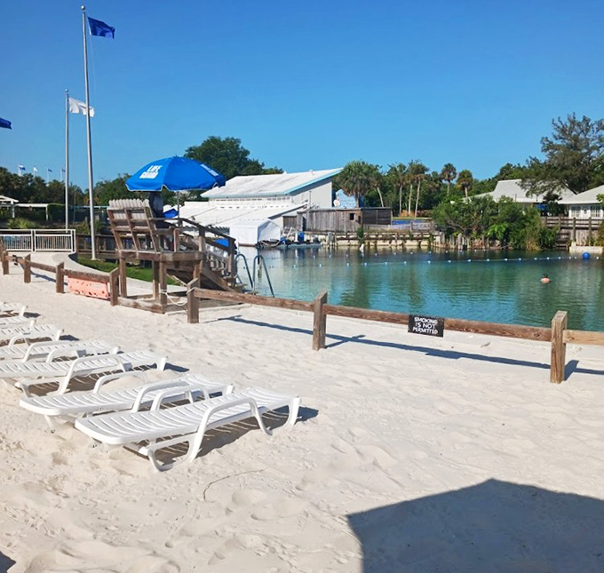 Sun-drenched loungers await on Buccaneer Bay's sandy shores, where visitors can relax between dips in the spring-fed waters.
