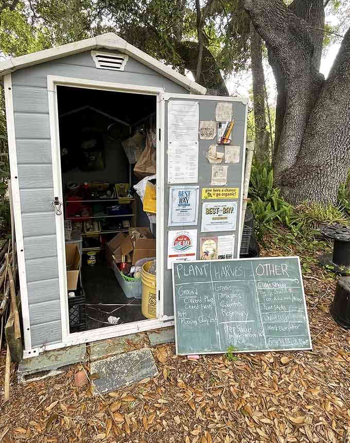 9. seminole heights community gardens gardening equipments