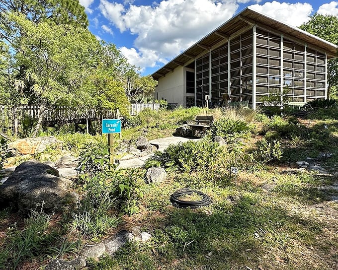 Serenity Pond lives up to its name, offering a tranquil spot where dragonflies dance and visitors find their mental reset button.