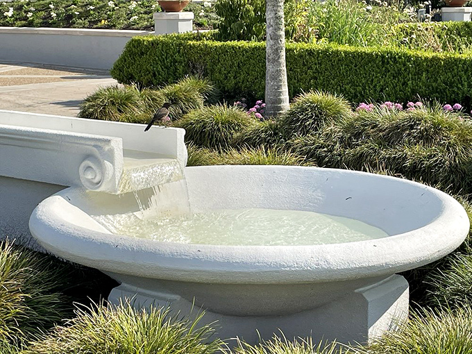 A simple white basin becomes a bird's personal spa day &ndash; proof that even the smallest garden features create moments of unexpected delight.