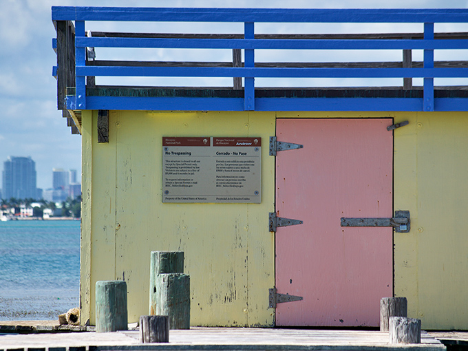 This yellow stilt house wears its weather-beaten charm like badges of honor, each peeling paint chip a medal from battles with hurricanes past.