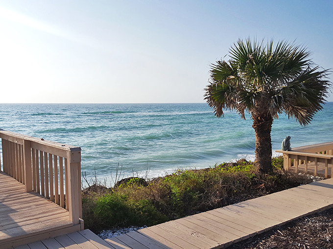 Summer perfection captured in a single frame: palm trees, wooden walkways, and that impossible shade of turquoise water.