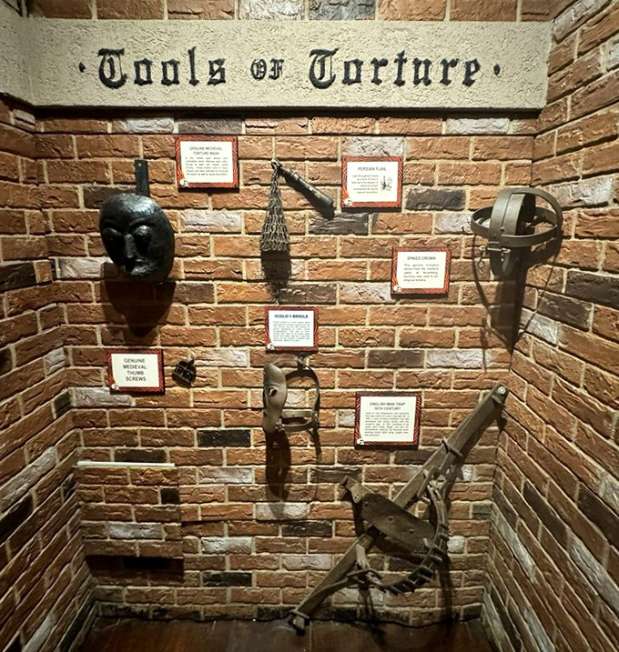 Medieval instruments of punishment line the brick walls, offering a grimly fascinating glimpse into humanity's darker historical chapters.