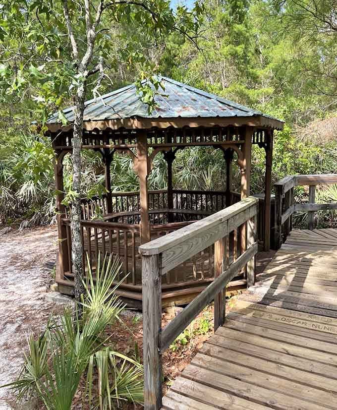 This pavilion offers shade and a perfect spot for contemplating nature, or just catching your breath after realizing you're not as fit as you thought.